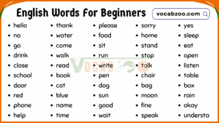 100 Daily Use English Words for Beginners Level with PDF