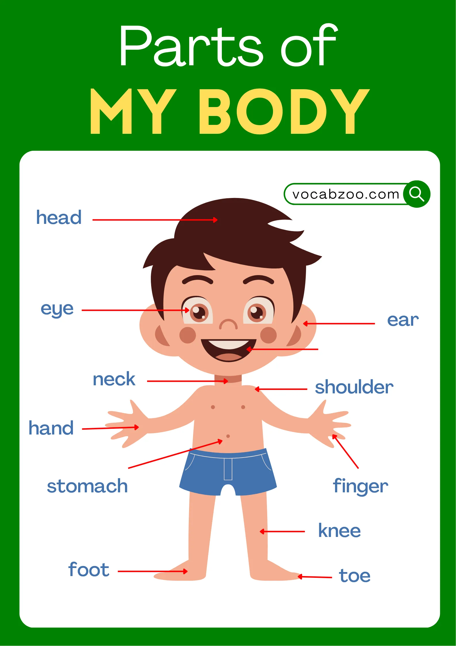 Human Body Parts Name With Picture In English For Kids