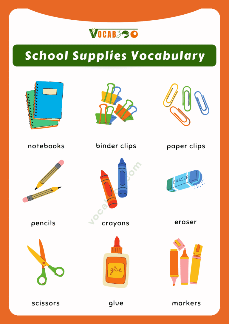 100 Common English Words Used in School | School Words PDF