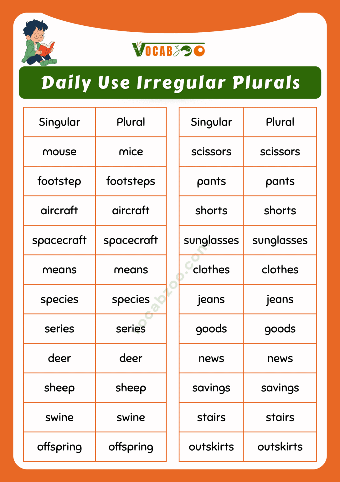 200 Irregular Plurals in English with Meanings - Vocabzoo