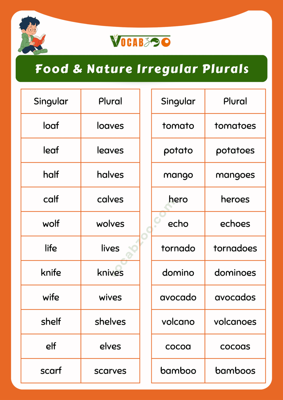 200 Irregular Plurals in English with Meanings - Vocabzoo
