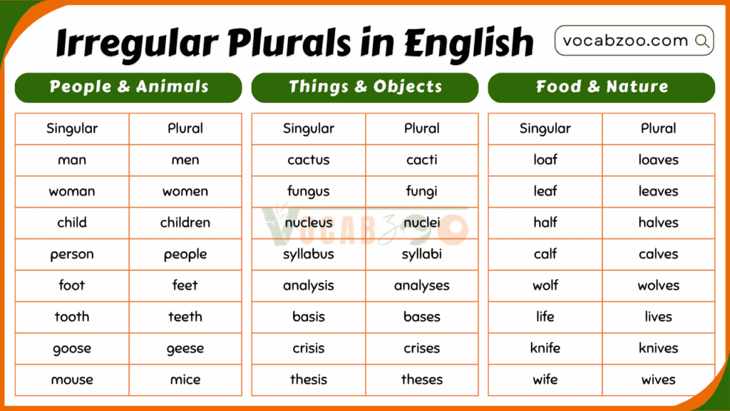 200 Irregular Plurals in English with Meanings - Vocabzoo