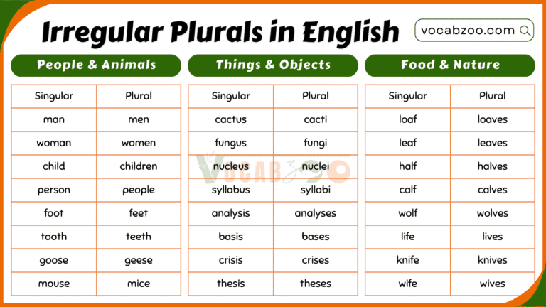 200 Irregular Plurals in English with Meanings - Vocabzoo