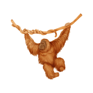 20 Zoo Animals That Can Climb with Their Pictures