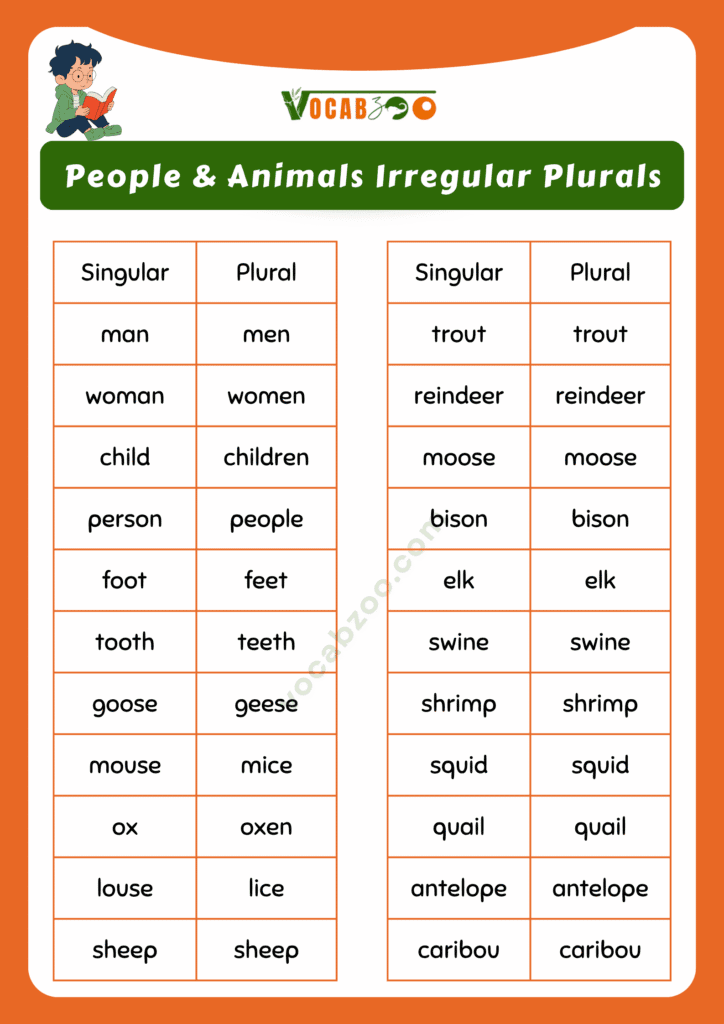 200 Irregular Plurals in English with Meanings - Vocabzoo