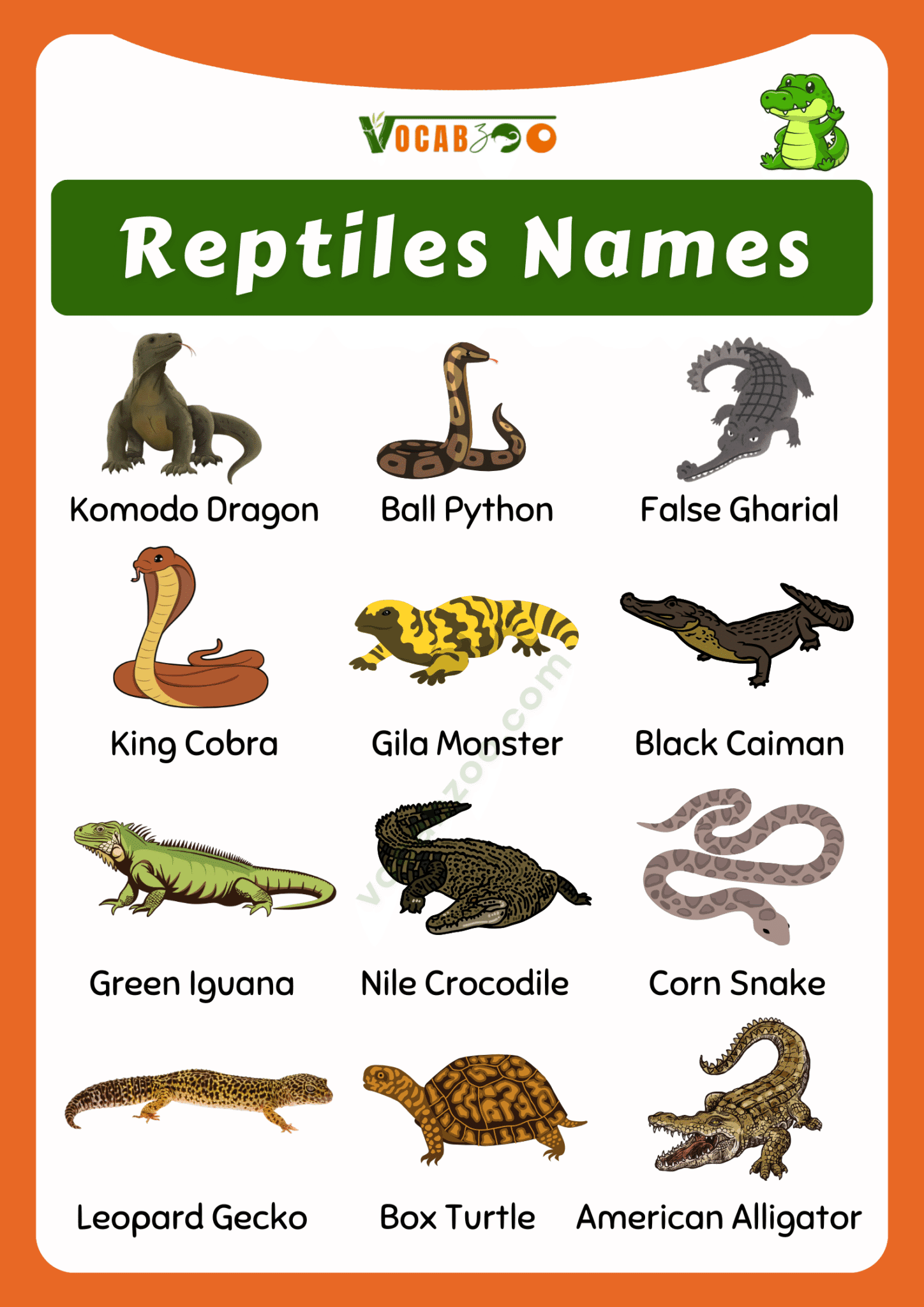100+ Names of Reptiles in English with Their Pictures