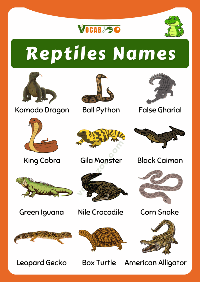 100+ Names of Reptiles in English with Their Pictures | Types of Reptiles