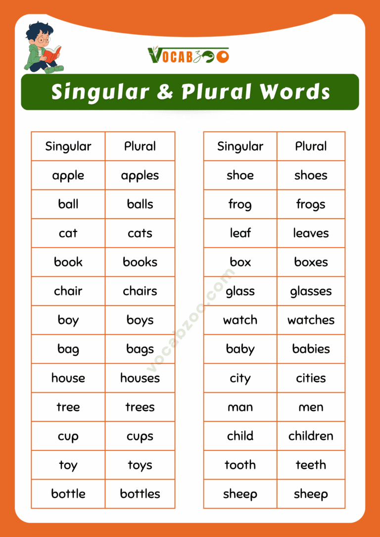 100 Singular and Plural Nouns for Kids in English - Vocabzoo