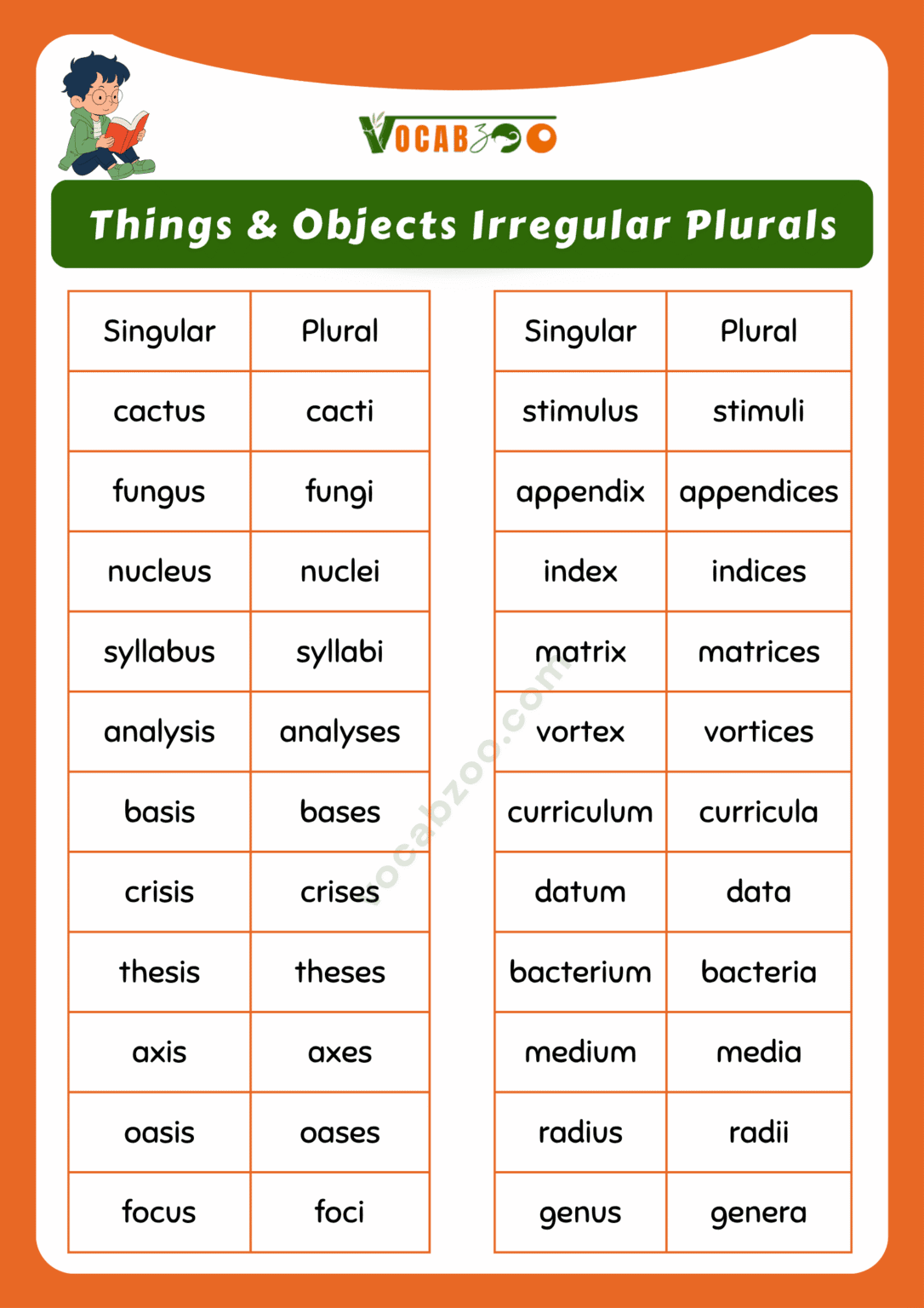 200 Irregular Plurals in English with Meanings - Vocabzoo