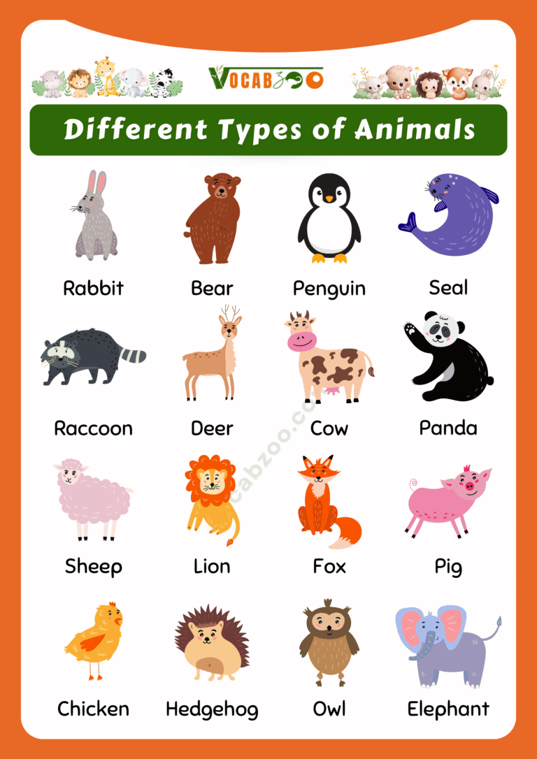 Types of Animals and Their Names in English with Pictures