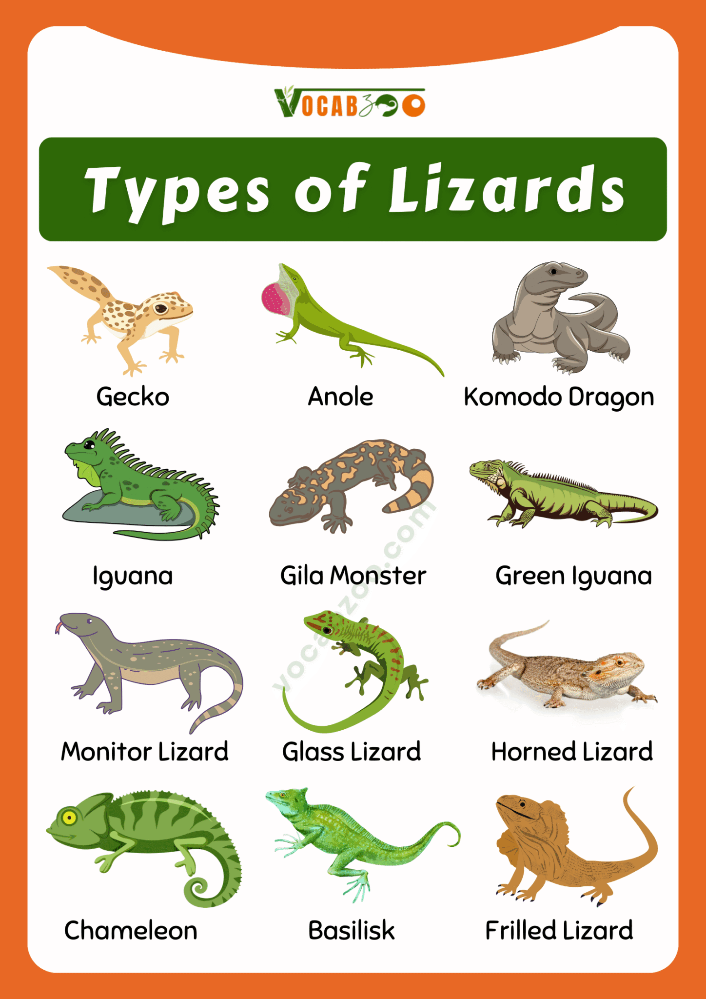 20 Different Types of Lizards in the Reptile Family with Pictures