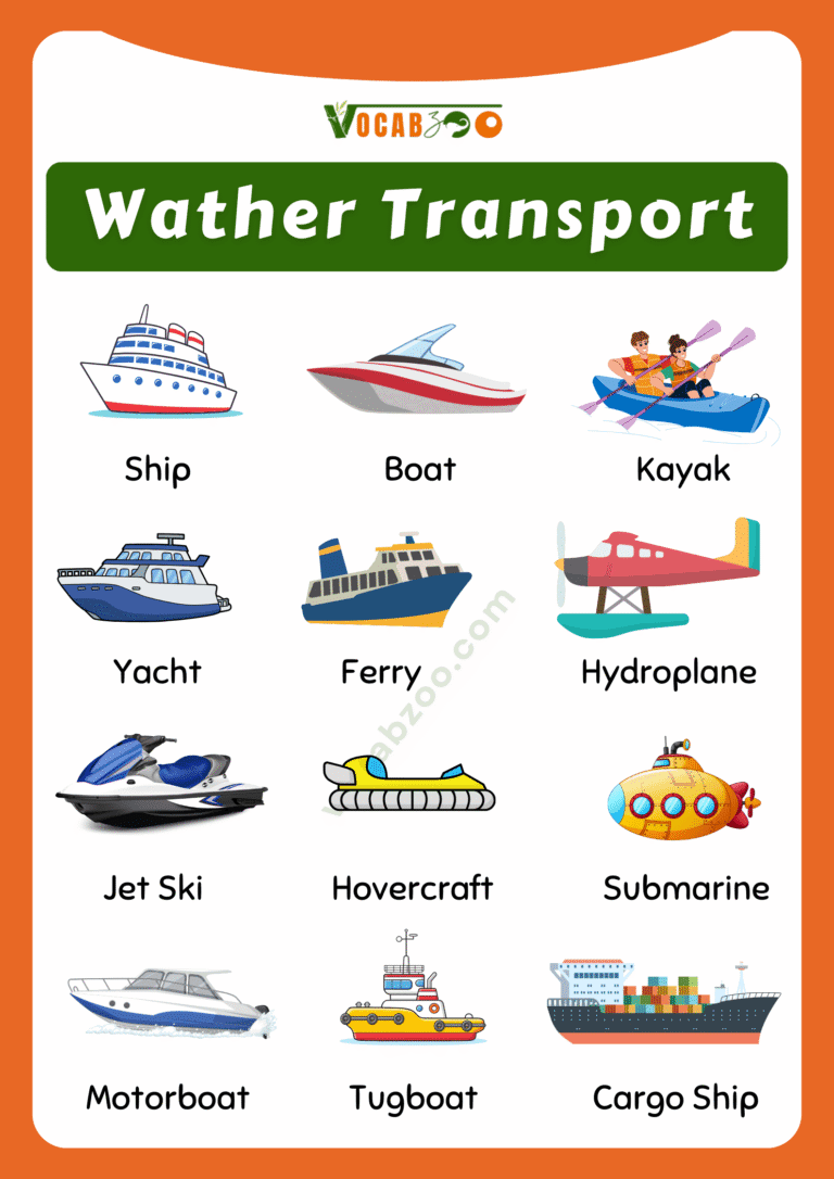 30 Names of Water Transport with Pictures in English - Vocabzoo