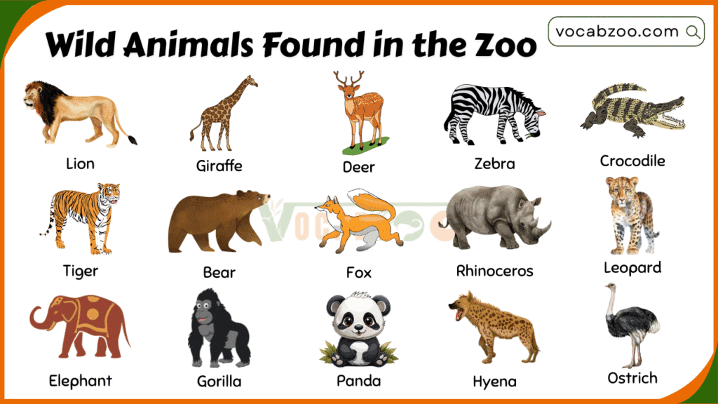 50+ Zoo Animals and Their Sounds in English with Pictures - Vocabzoo