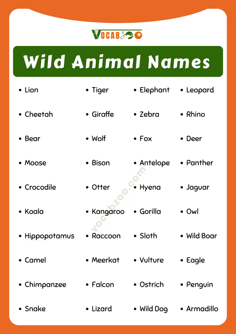 Wild Animals and Their Name in English with Pictures - Vocabzoo