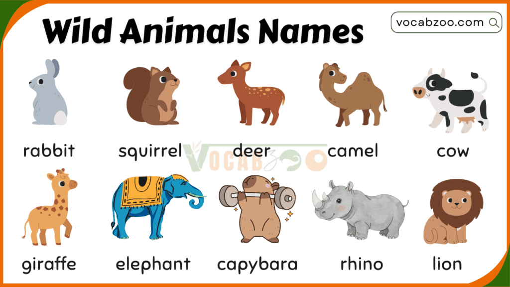 Weird Color Names with Colors and Pictures - Vocabzoo