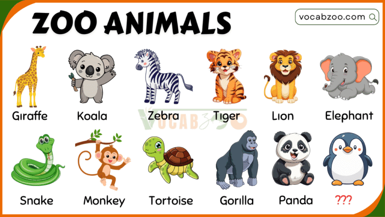 50 Zoo Animals Vocabulary in English with Pictures