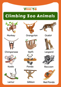 20 Zoo Animals That Can Climb with Their Pictures