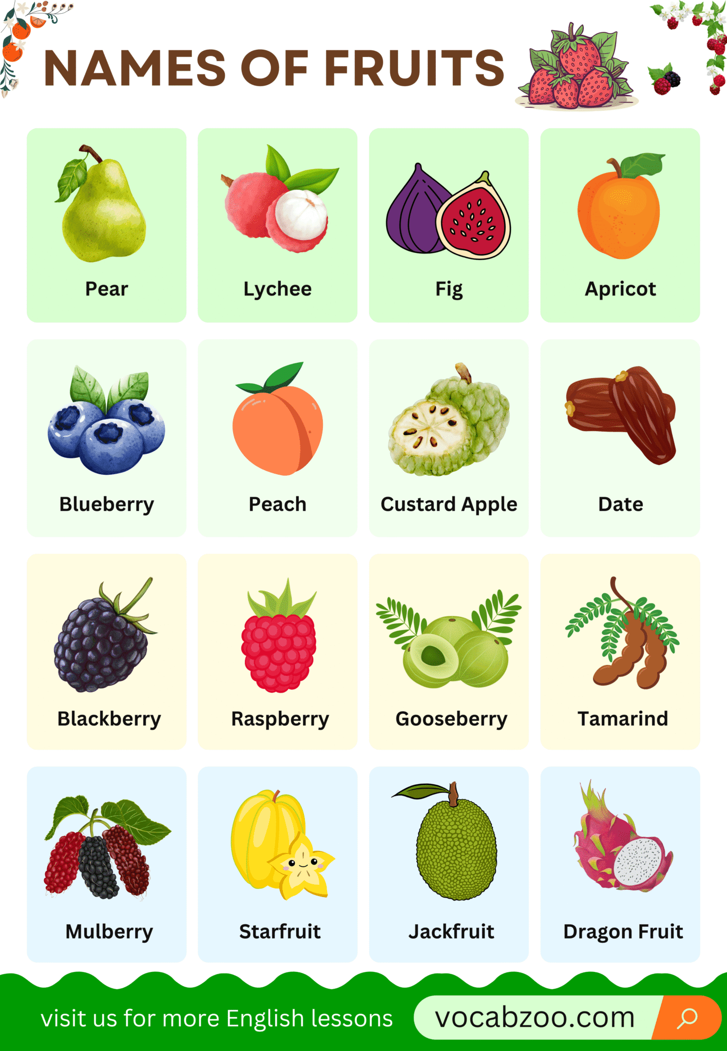 Names of Fruits in English with Their Pictures - Vocabzoo