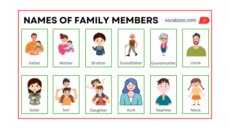 Names of Family Members for Kids in English - Vocabzoo
