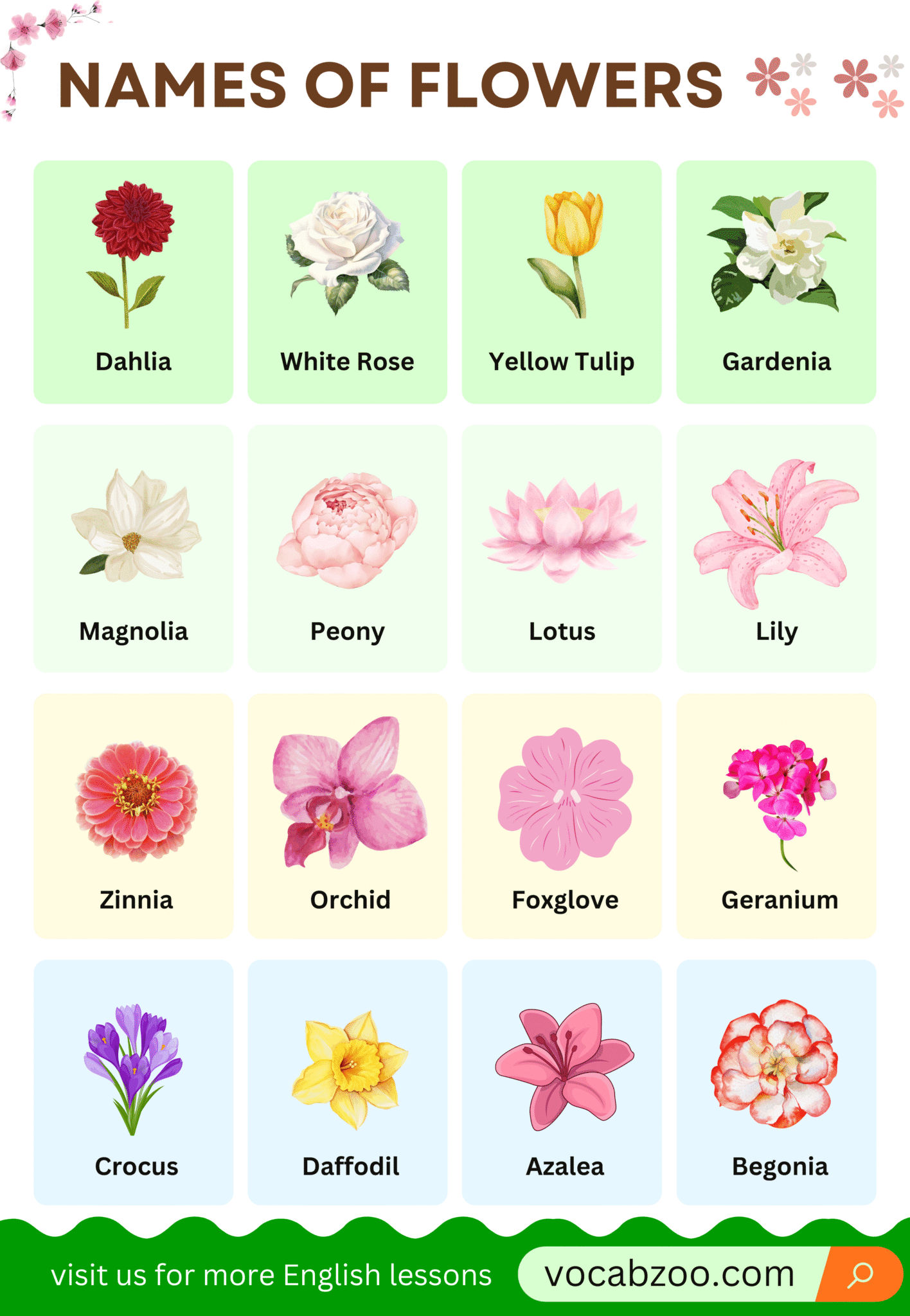 Flower Names in English with Their Pictures - Vocabzoo