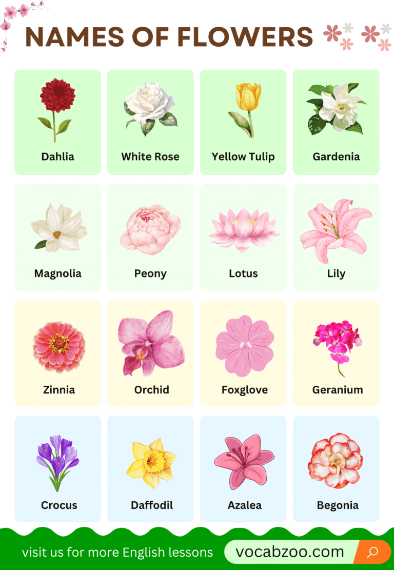Flower Names in English with Their Pictures - Vocabzoo