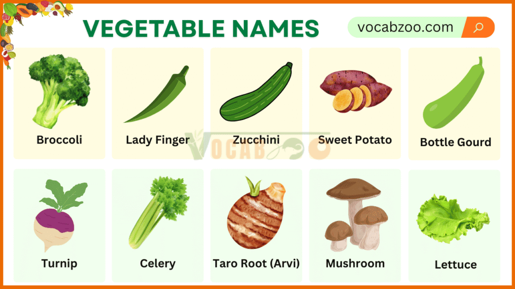Vegetable Names in English with Their Pictures - Vocabzoo