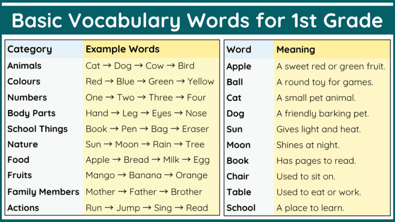 Vocabulary List for 1st Grade with Meanings in English - Vocabzoo
