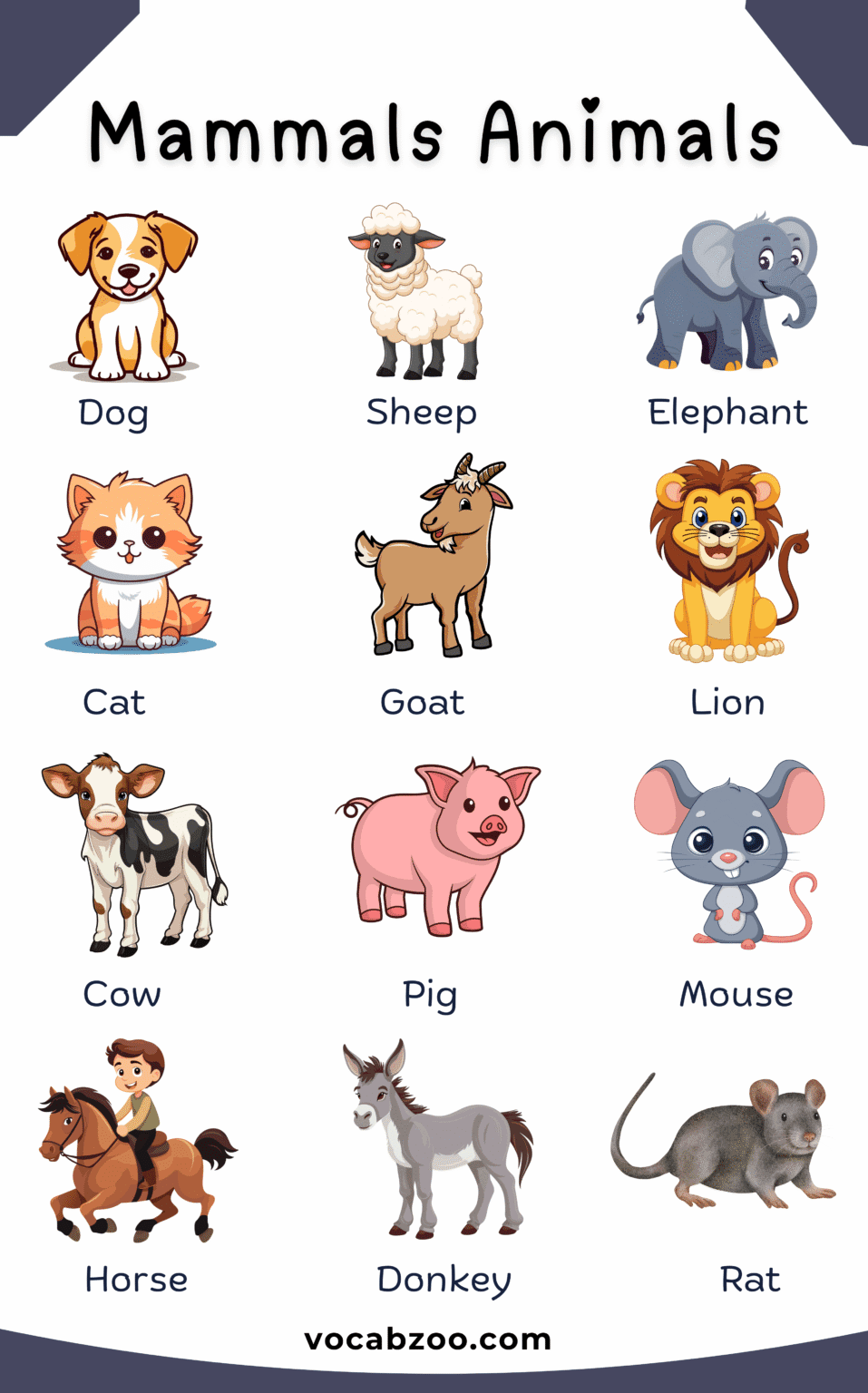 List of 100 Mammals Animals in English with Pictures