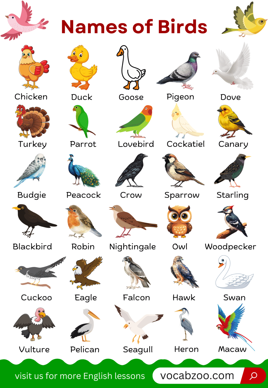 Names of Birds in English With Their Pictures - Vocabzoo
