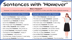 Sentences with However | Use of However in Sentences