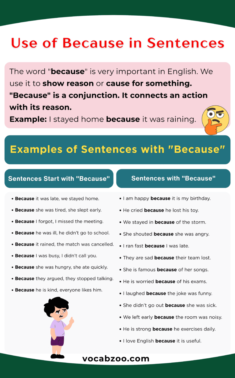Sentences with Because | Use of Because in Sentences - Vocabzoo