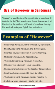 Sentences with However | Use of However in Sentences