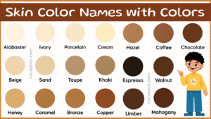 Skin Color Names with Colors and Pictures in English - Vocabzoo