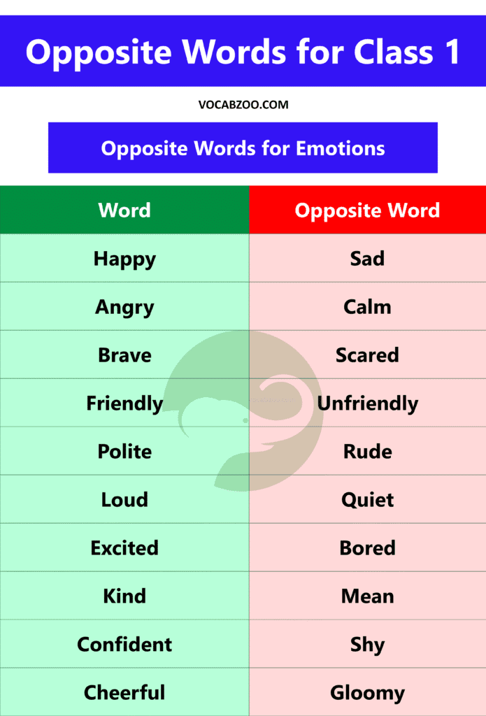 Opposite Words for Class 1 with Examples in English - Vocabzoo