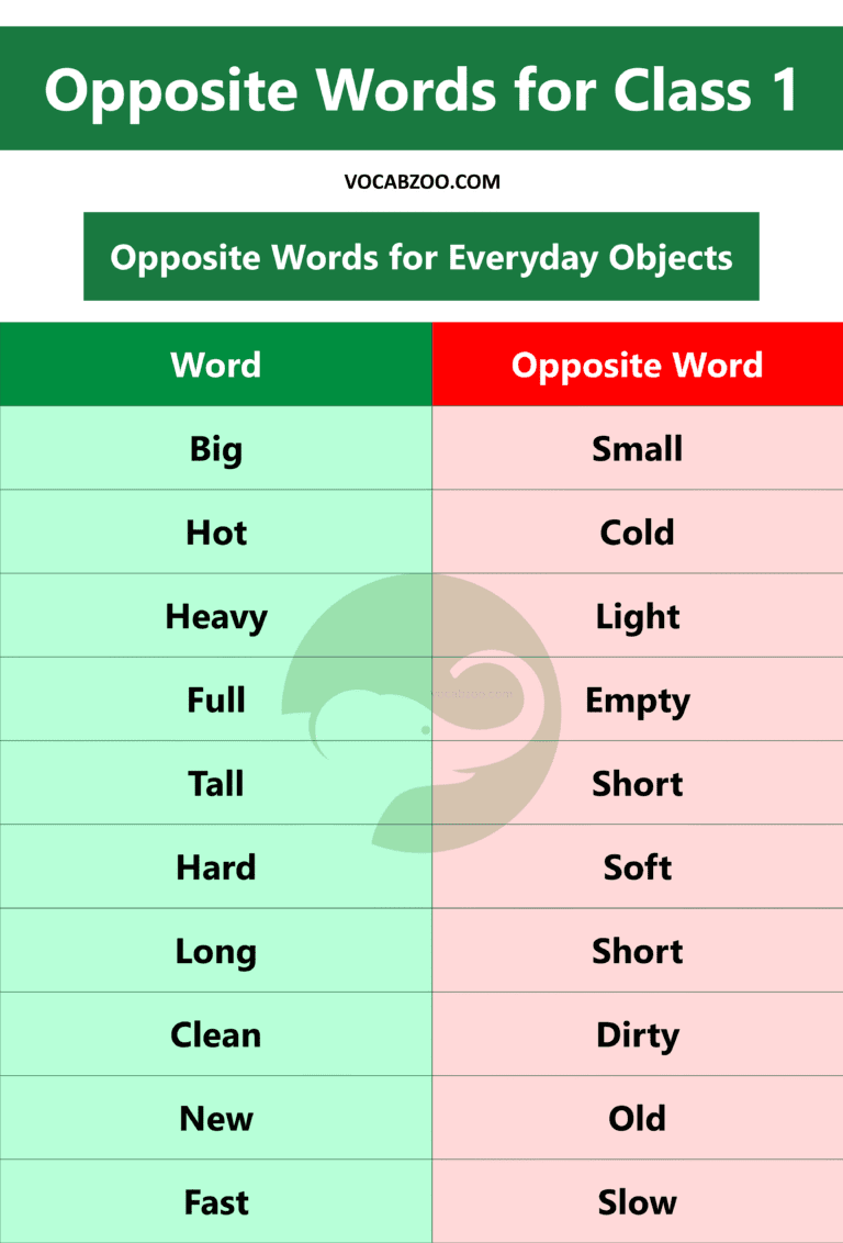 Opposite Words for Class 1 with Examples in English - Vocabzoo