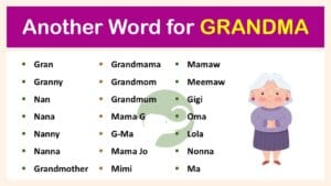 25+ Another Word for Grandma in English - Vocabzoo