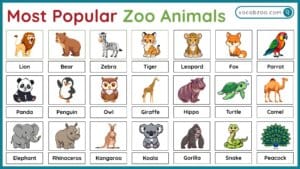 Most Popular Zoo Animals Around the World - Vocabzoo