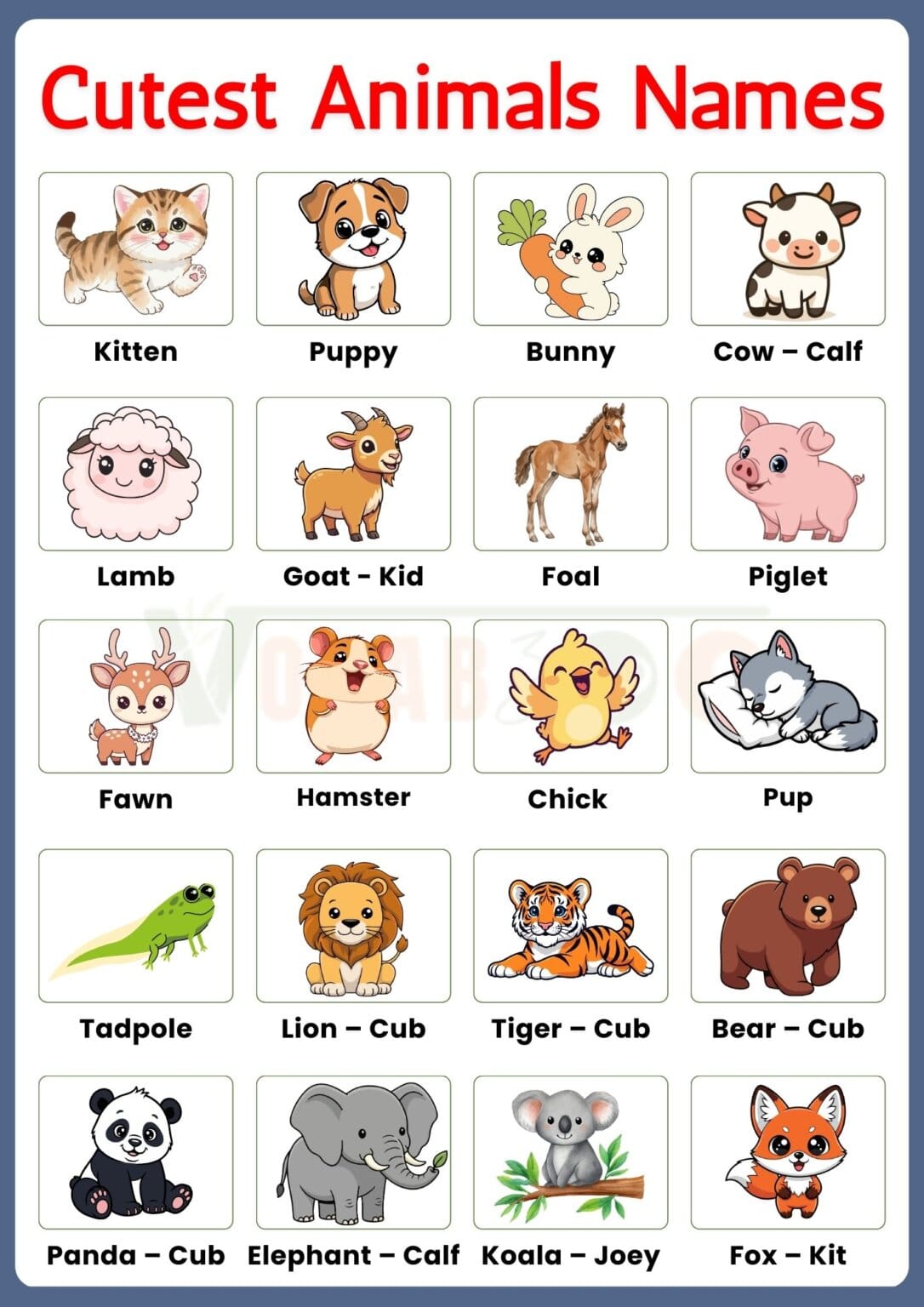 Top 30 Cutest Animals Names in English with Their Pictures