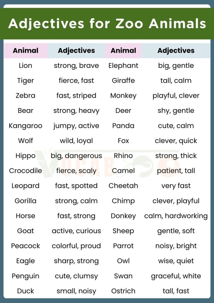 Adjectives to Describe Zoo Animals in English - Vocabzoo