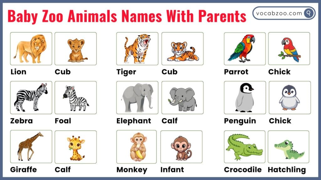 Baby Zoo Animals Names With Parents and Their Pictures
