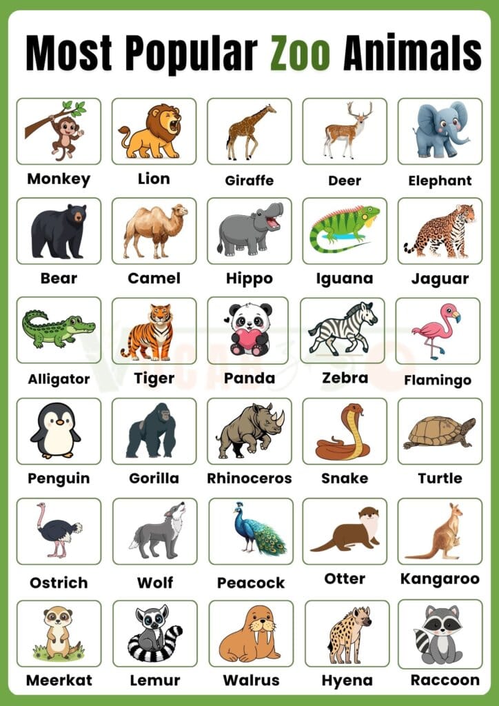 Most Popular Zoo Animals Around the World - Vocabzoo