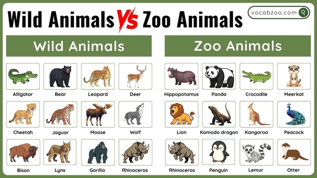 100 Zoo Animals List A to Z in English with Their Pictures