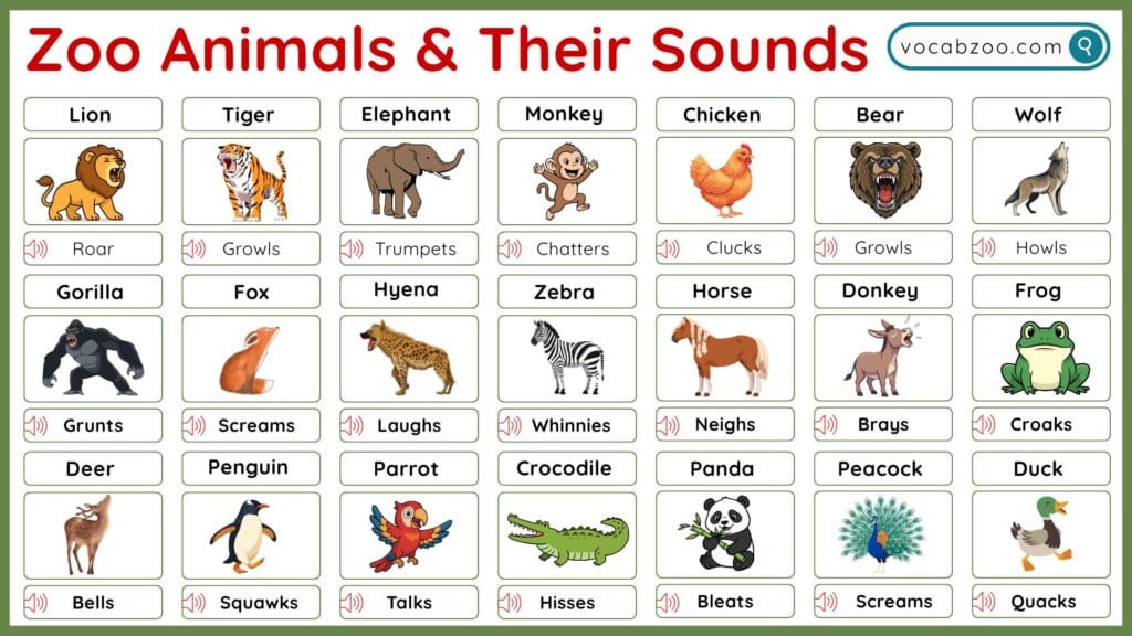 50+ Zoo Animals and Their Sounds in English with Pictures - Vocabzoo
