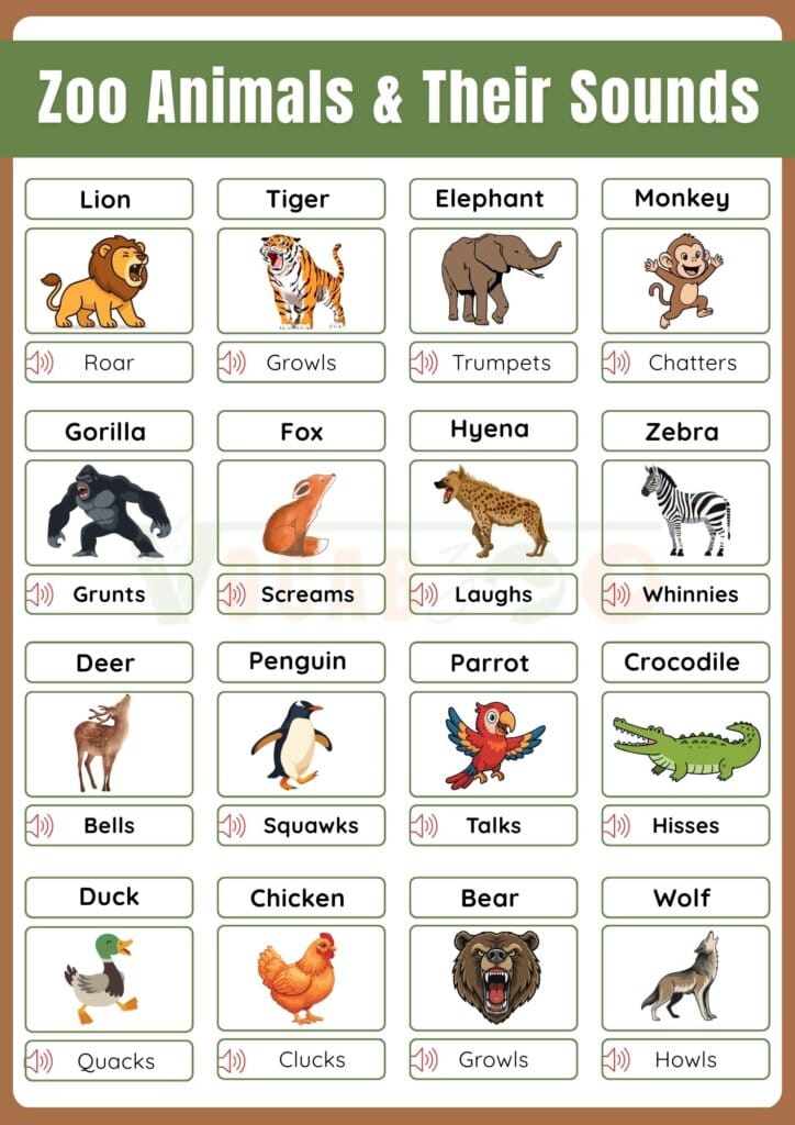 50+ Zoo Animals and Their Sounds in English with Pictures - Vocabzoo