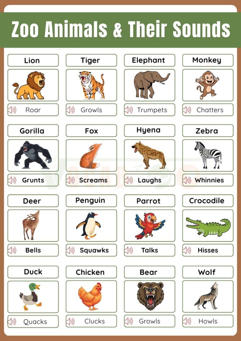 50+ Zoo Animals and Their Sounds in English with Pictures - Vocabzoo