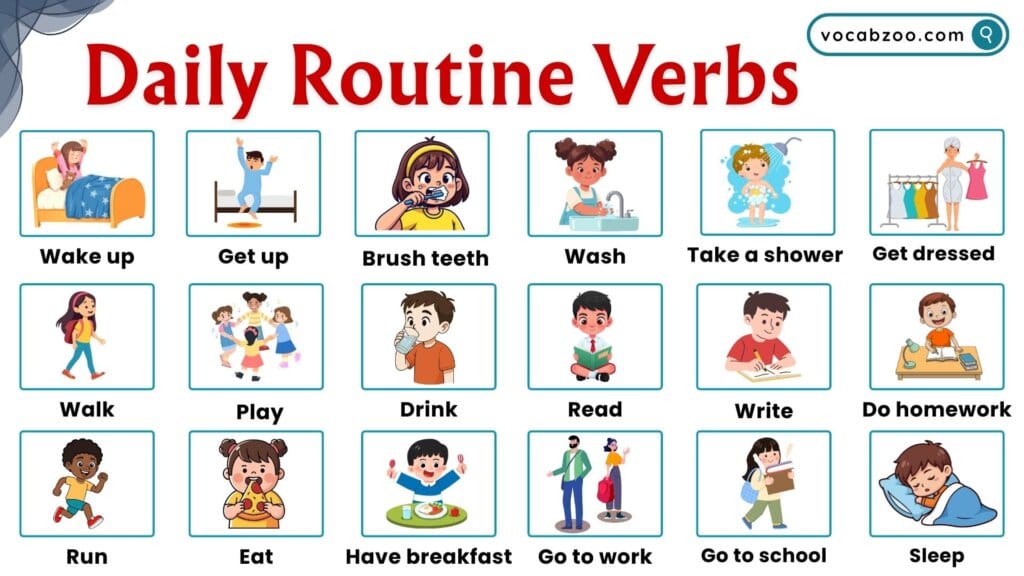 Daily Routine Verbs in English with Pictures - Vocabzoo