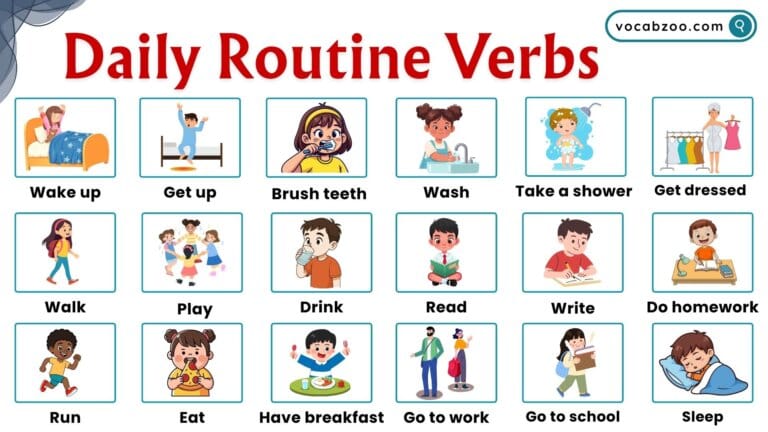 Daily Routine Verbs in English with Pictures - Vocabzoo