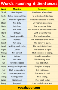 100 Vocabulary Words With Meaning and Sentence with Pictures - Vocabzoo