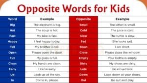 Opposite Words for Class 1 with Examples in English - Vocabzoo