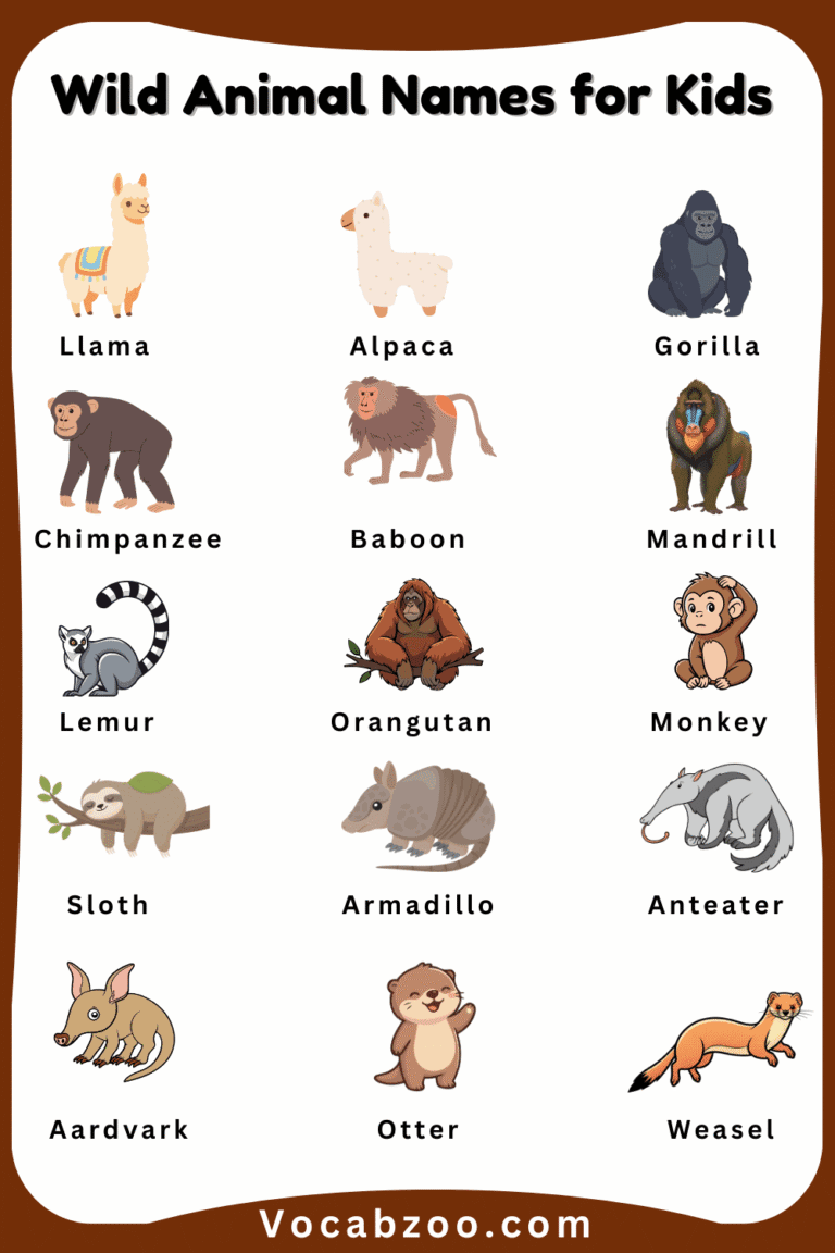 Wild Animal Names for Kids in English with Pictures - Vocabzoo